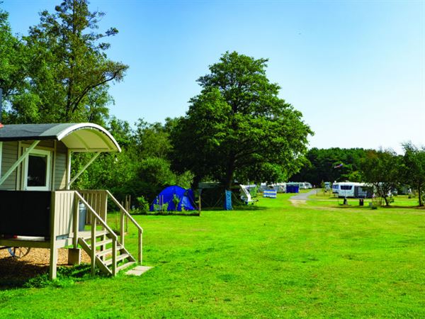 Campsite Of The Month: Back of Beyond Touring, Camping & Glamping Park, Dor