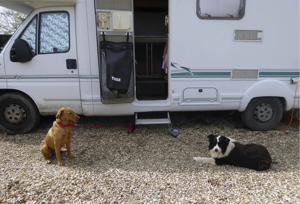 Tips for travelling with dogs in a motorhome