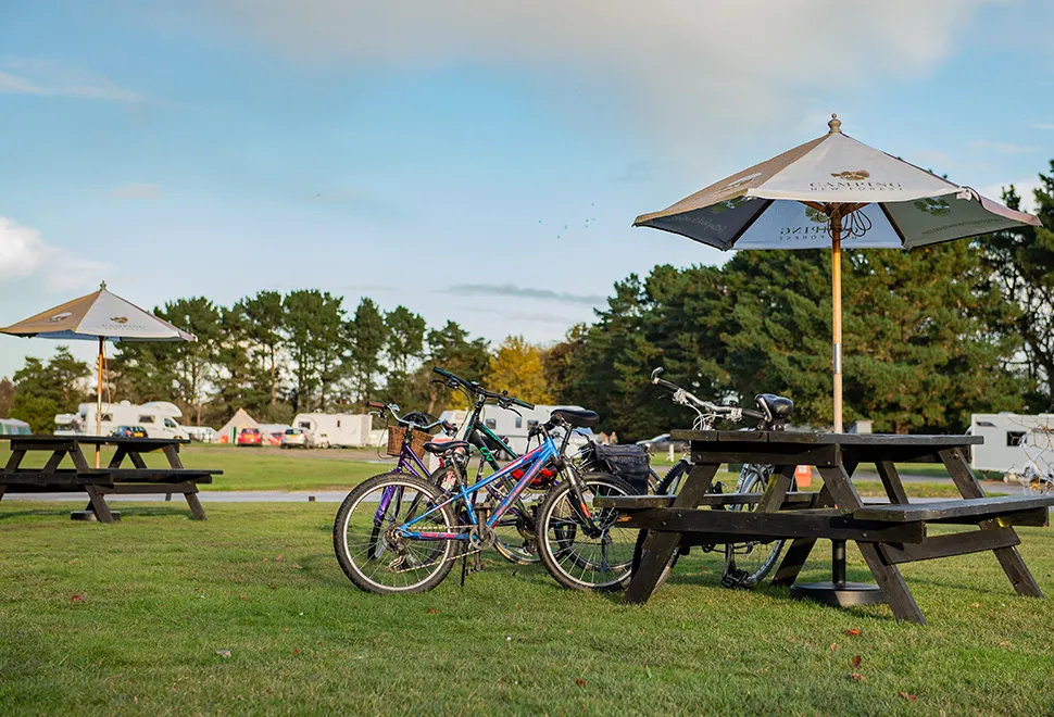 Holmsley - Camping New Forest Site | Out & About Live