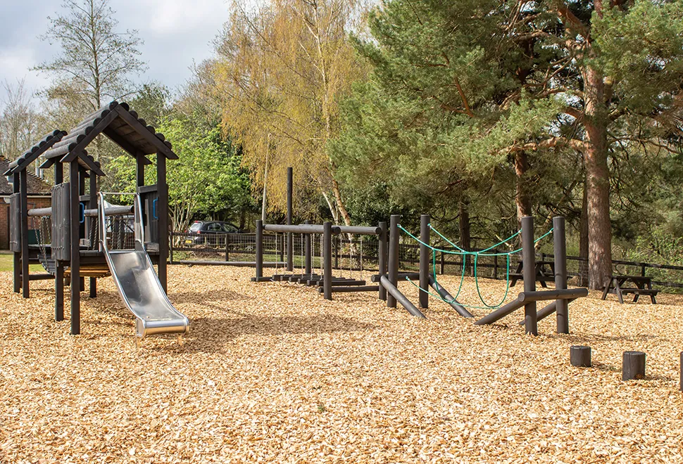 Holmsley - Camping New Forest Site | Out & About Live