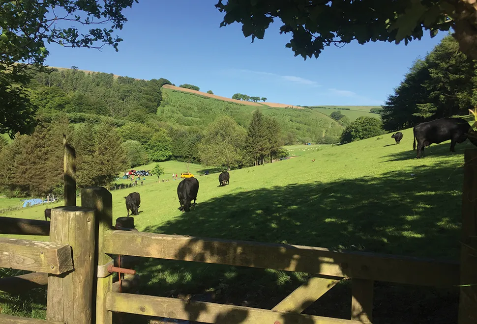 Westermill Farm | Out & About Live