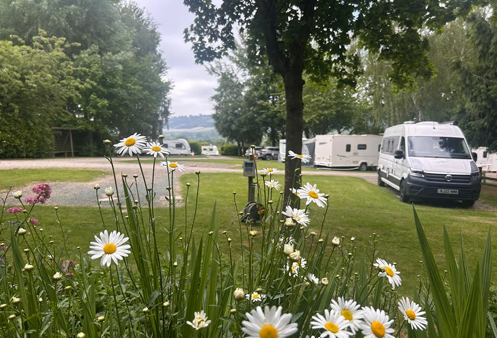 Daisy Bank Caravan Park | Out & About Live