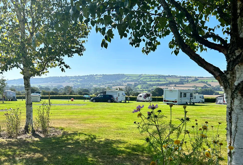 Daisy Bank Caravan Park | Out & About Live