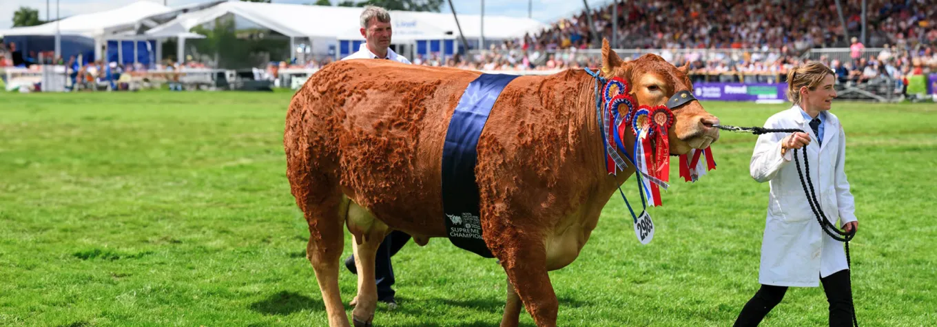 Scotland 2026 events, Highland Games & the northern lights | Out ...
