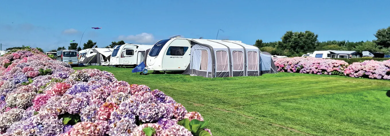 Hendra Holiday Park starts pitch and pause | Out & About Live