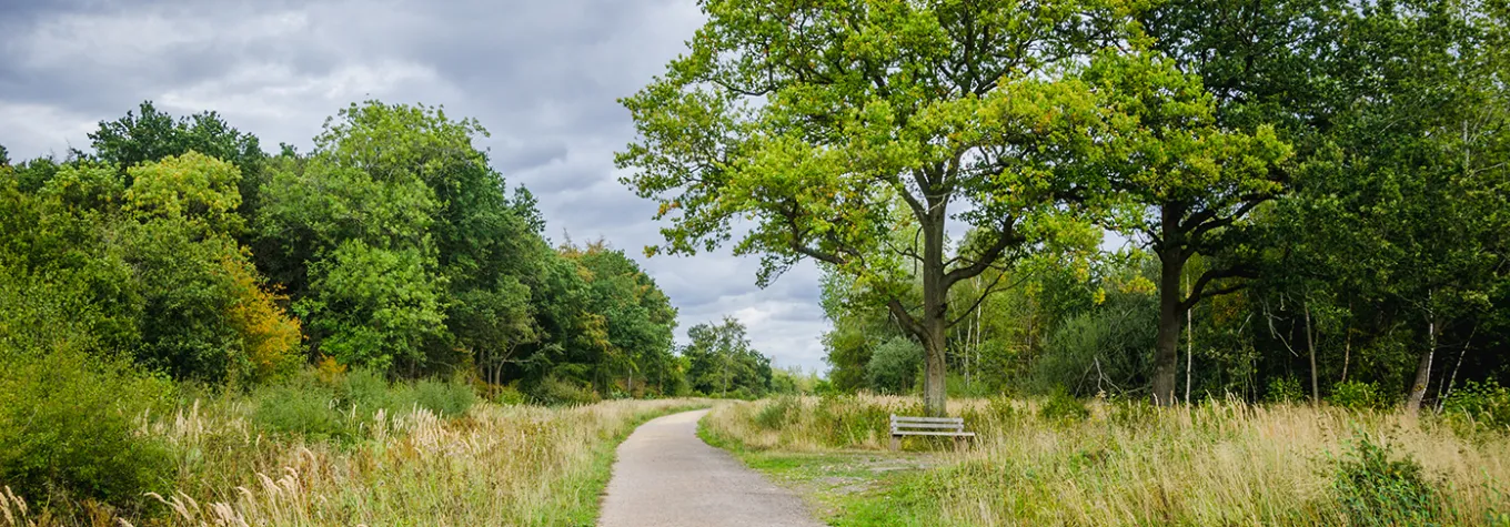New Beginnings for Fineshade Wood Campsite | Out & About Live