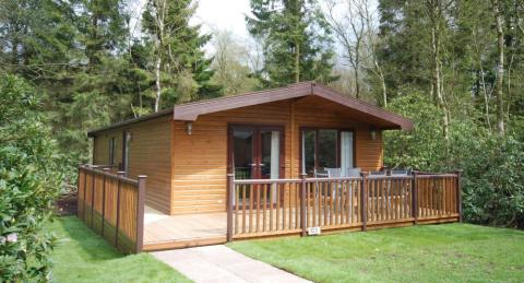 Pinelog Essence 47x20 4 bed 2020 Park and Holiday Home | Out & About Live