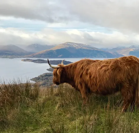 Top UK holiday destinations for 2026 | Out & About Live