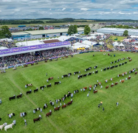 Scotland 2026 events, Highland Games & the northern lights | Out ...
